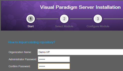 Specify company name and admin password - Visual Paradigm Know-how
