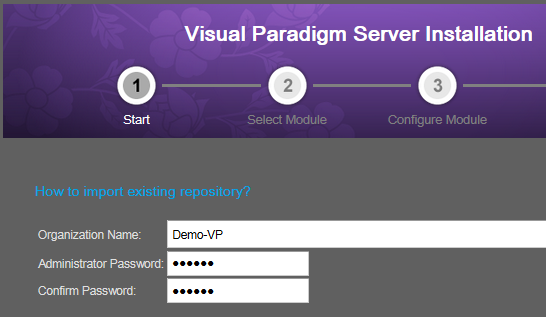 Specify company name and admin password - Visual Paradigm Know-how